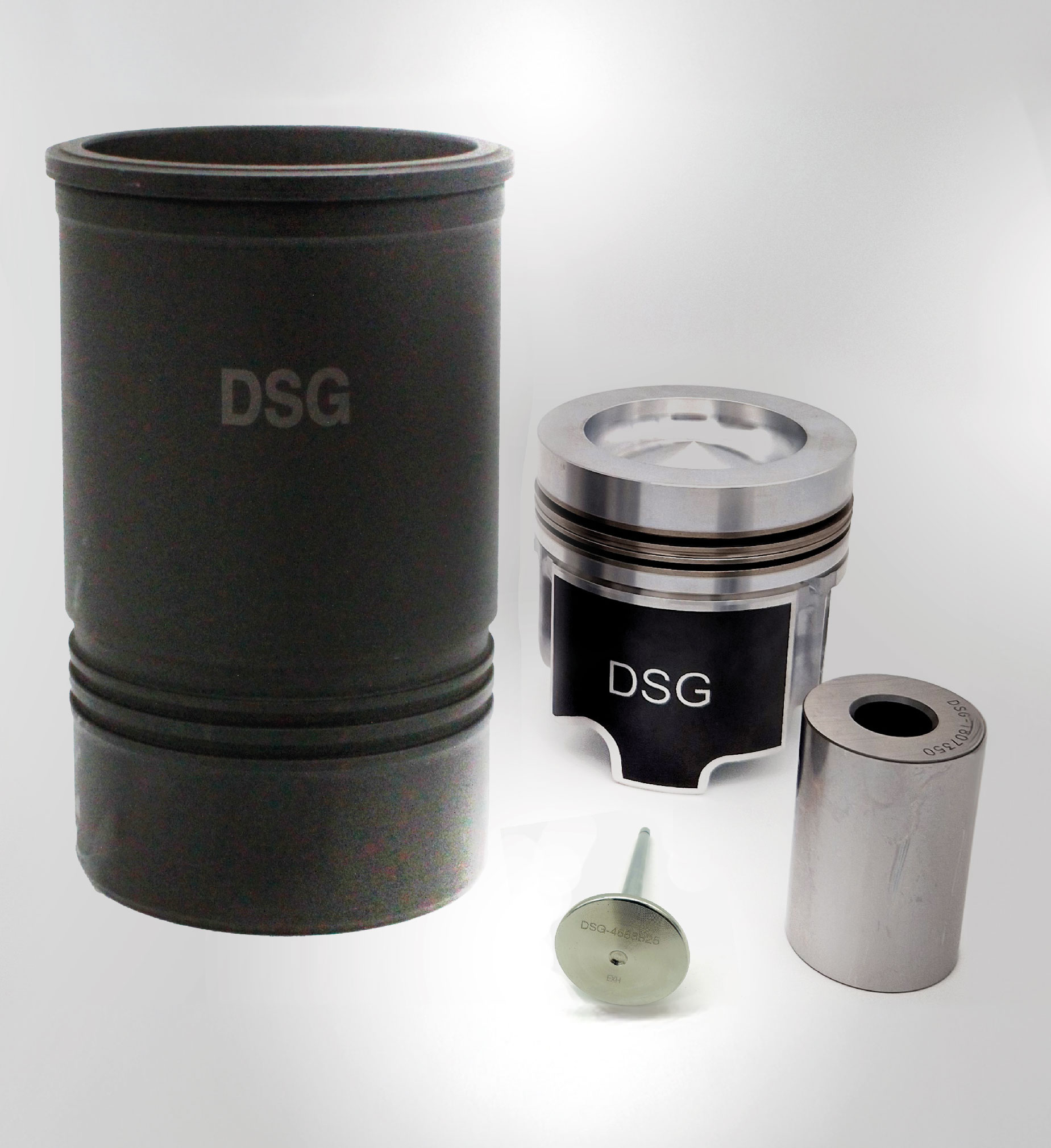 Company - DSG USA