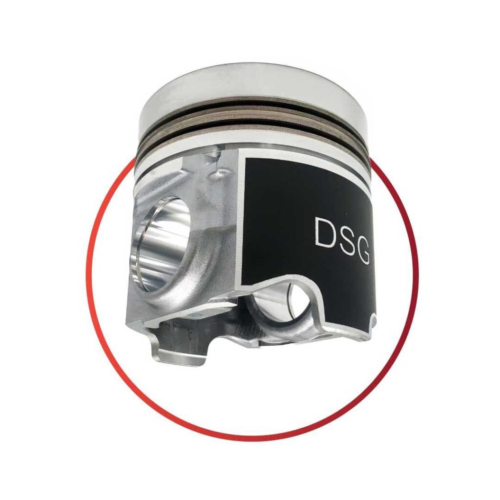 Home - DSG USA